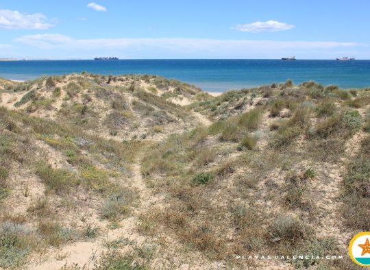 Playa de Meliana|Meliana|Valencia